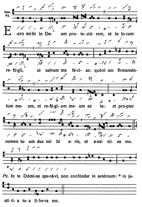 INTROITUS: 6th Sunday in Ordinary Time - PrayTellBlog